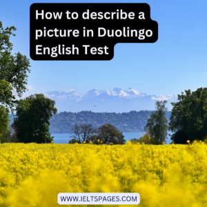 How To Describe A Picture In Duolingo English Test With Samples