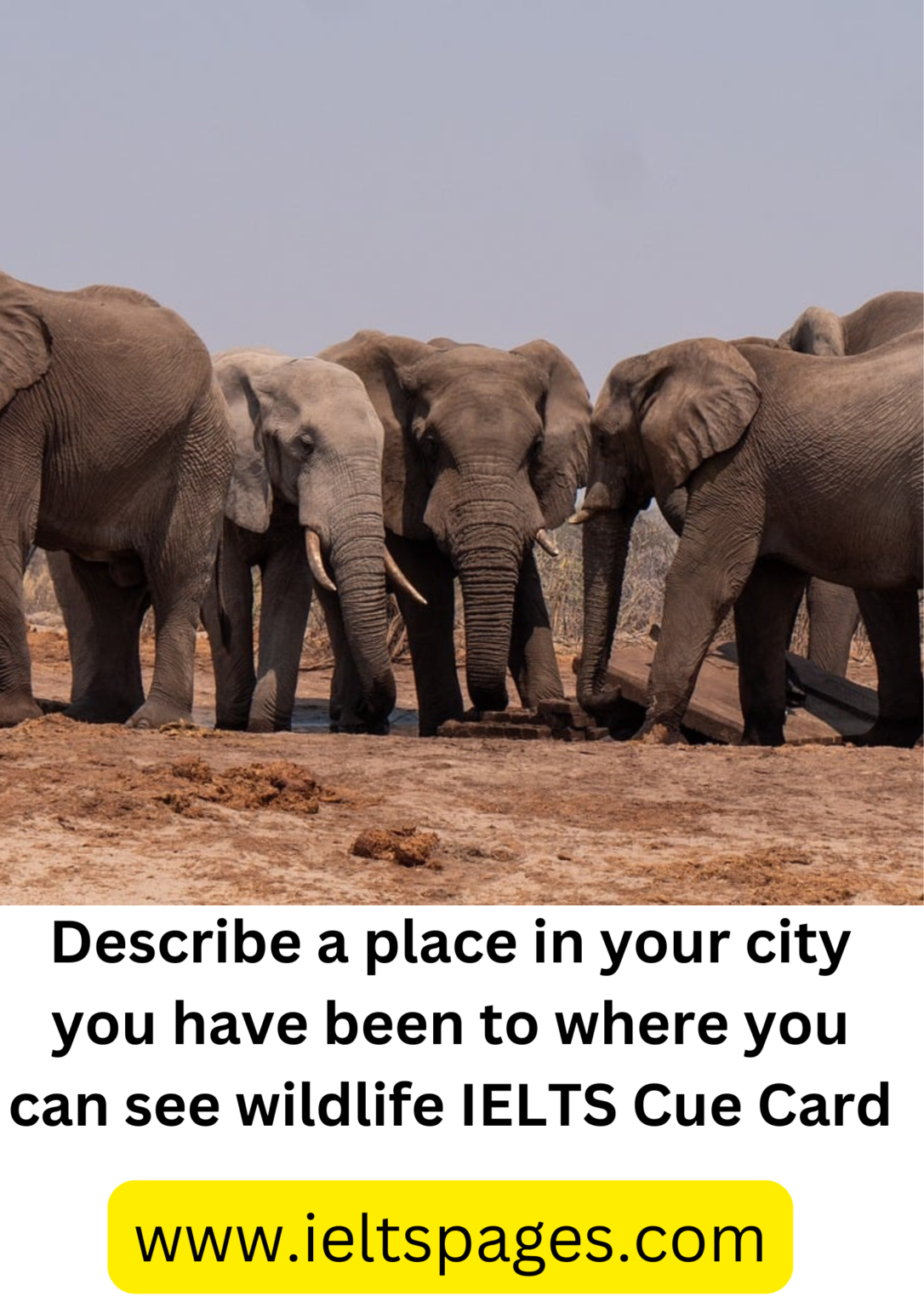 Describe A Place In Your City You Have Been To Where You Can See ...